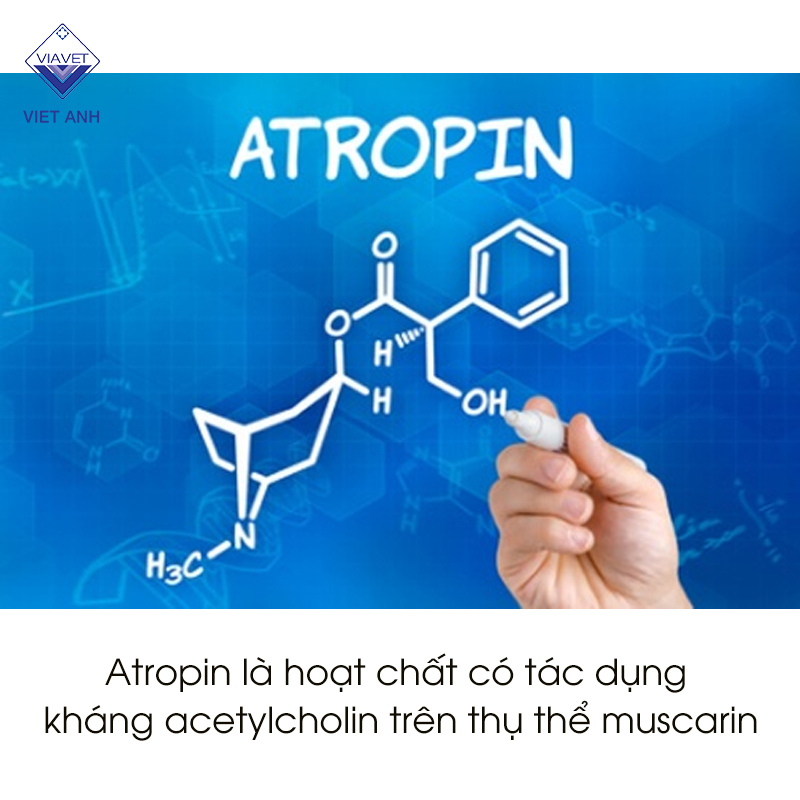Công Dụng Tuyệt Vời Của Atropin Trong Thú Y - CÔNG TY THUỐC THÚ Y VIỆT ...