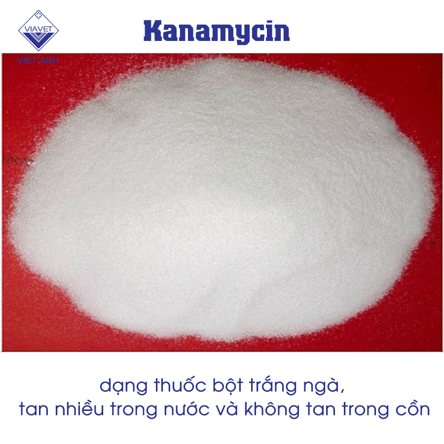 Kanamycin Hoạt Chất Diệt Khuẩn Không Thể Bỏ Qua Cho Thú Y - CÔNG TY ...